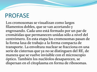 DIVISION CELULAR POR MITOSIS Y MEIOSIS | PPTX
