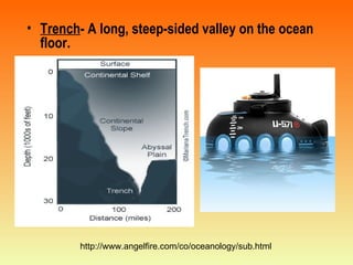 Mariana Trench | PPT | Biological Sciences | Science