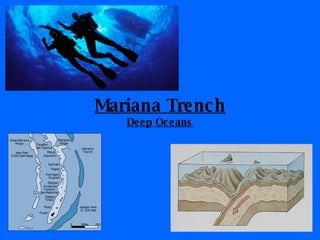 Marianas Trench Diagram