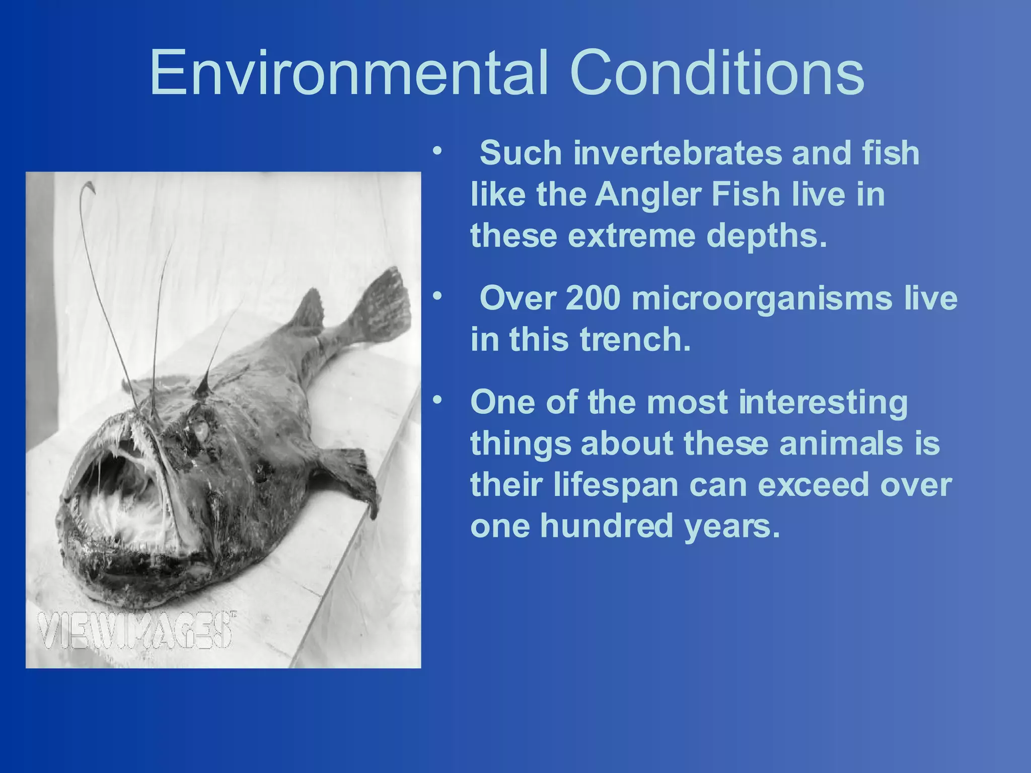 Mariana Trench | PPT