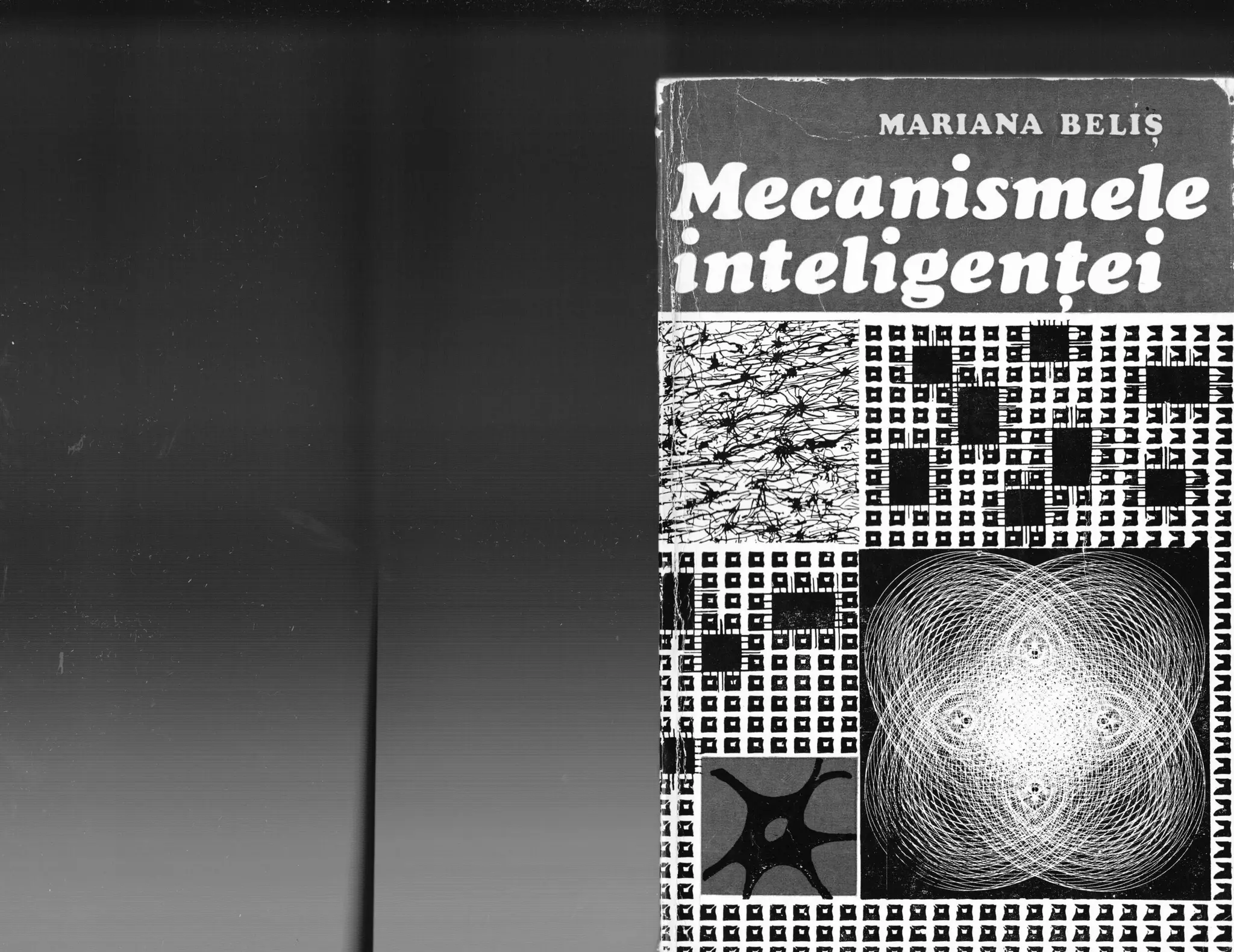 Mariana belis mecanismele inteligentei | PPT