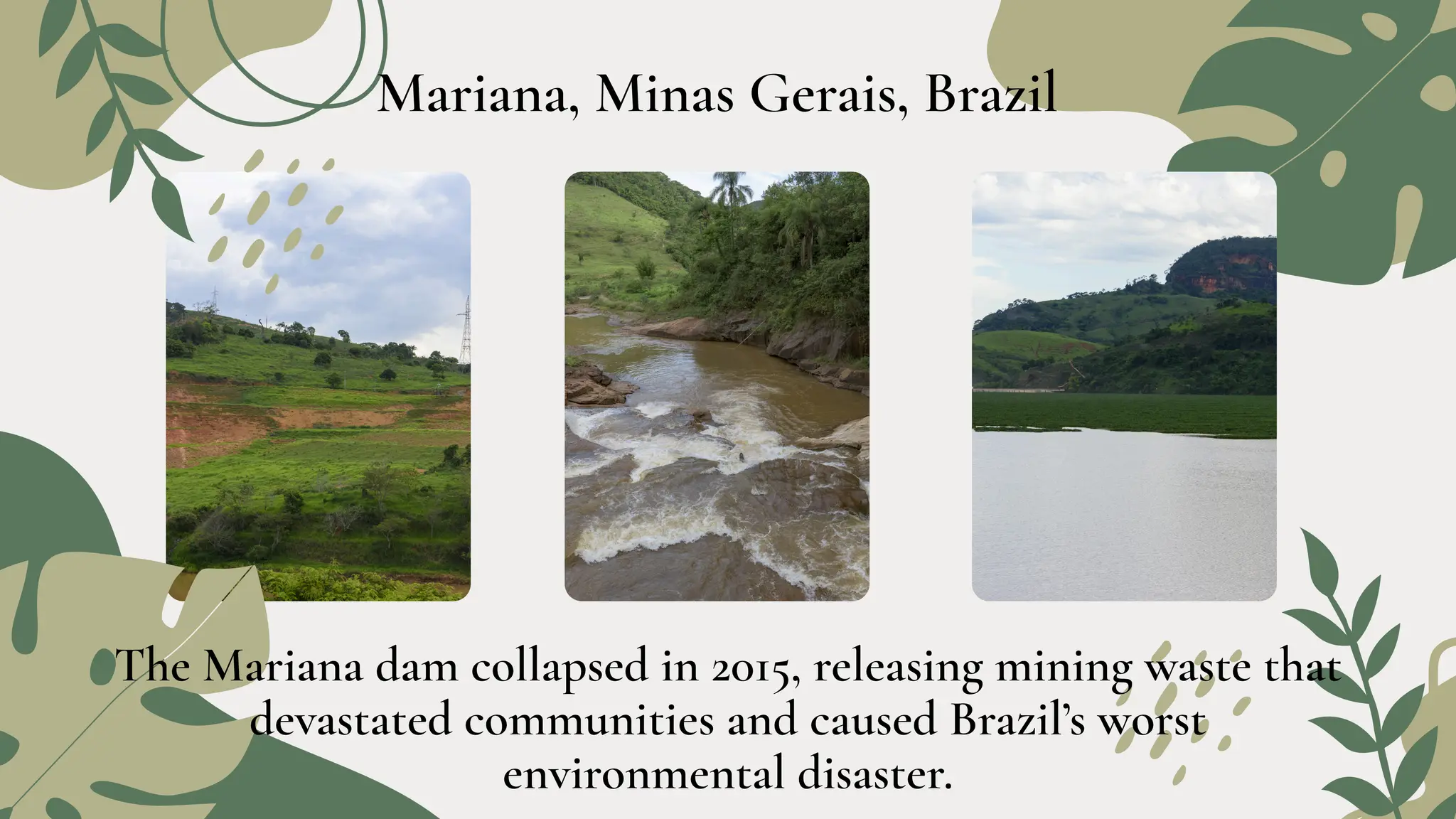 The Mariana Dam Disaster: A Catastrophic Collapse That Changed Brazil ...