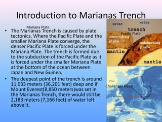 Marianas trench | PPTX