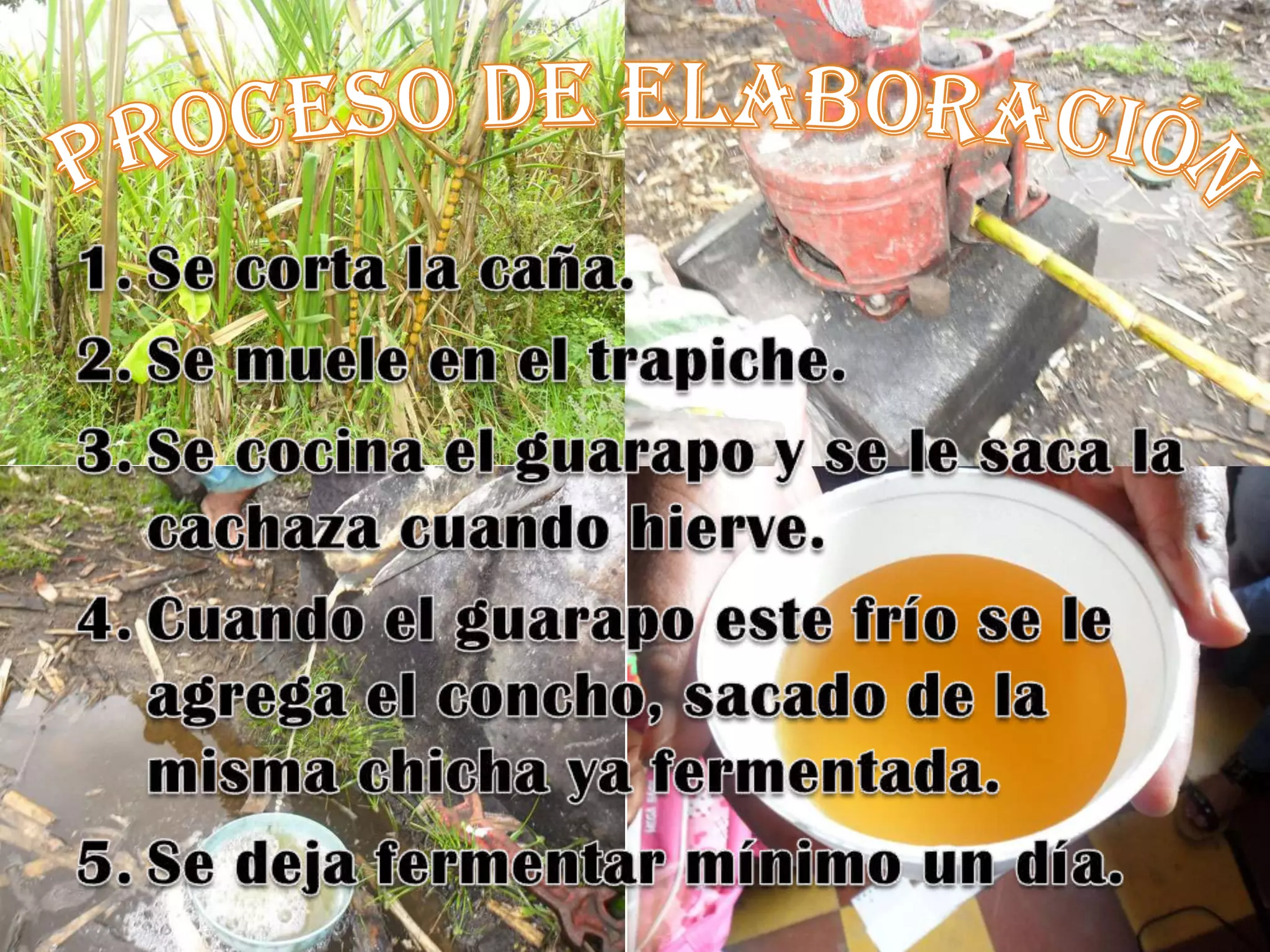 bebida nativa de los indigenas nasa "La chicha" | PPTX