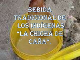 bebida nativa de los indigenas nasa "La chicha" | PPTX