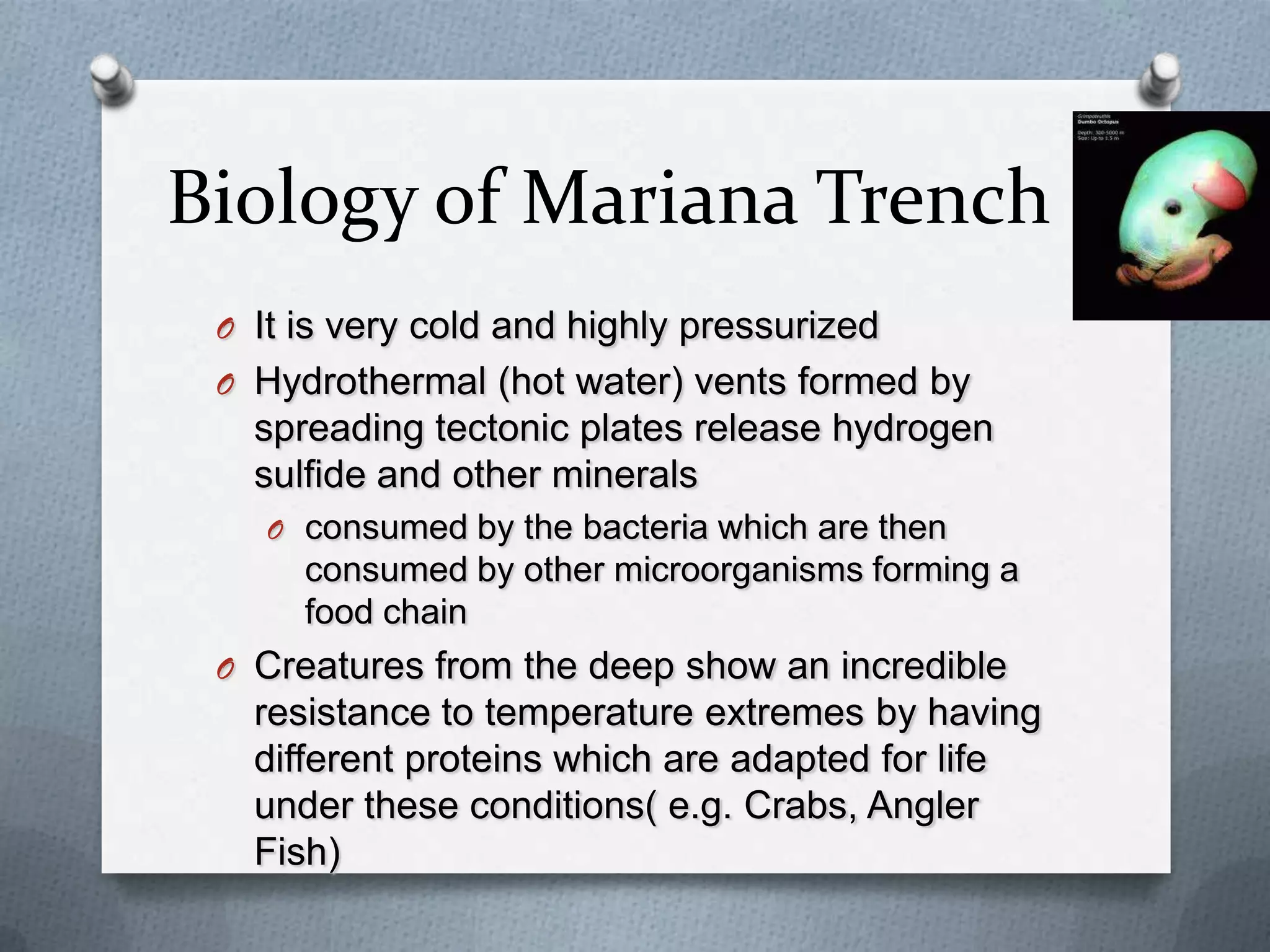 Mariana trench | PPTX