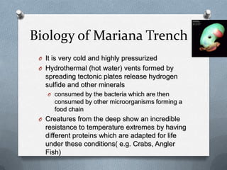 Mariana trench | PPTX