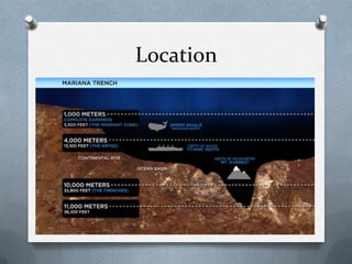 Mariana trench | PPTX