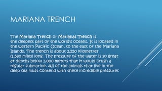 Mariana trench | PPTX