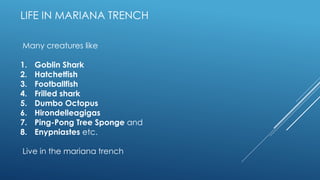 Mariana trench | PPTX