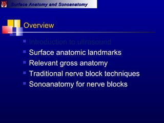 Surface anatomy and sonoanatomy for the occasional regional ...
