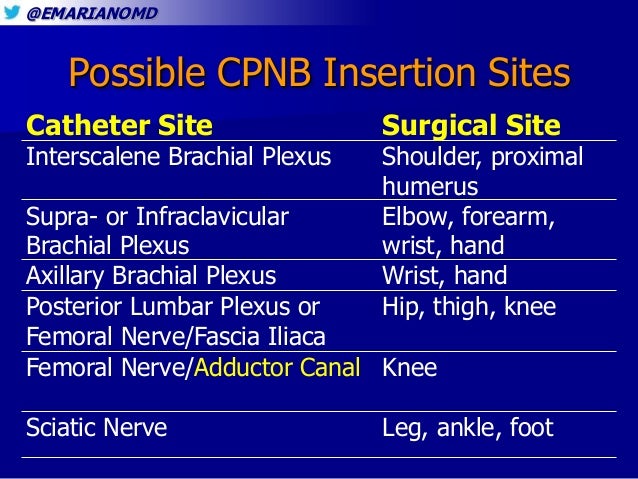 Update on continuous peripheral nerve block techniques