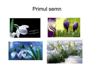 Inceputul primaverii | PPT