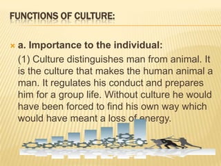 The Importance Of Culture
