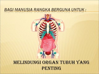 Mari belajar rangka manusia | PPT