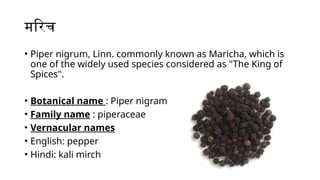 Maricha ppt on the organoleptic and macroscopic | PPTX