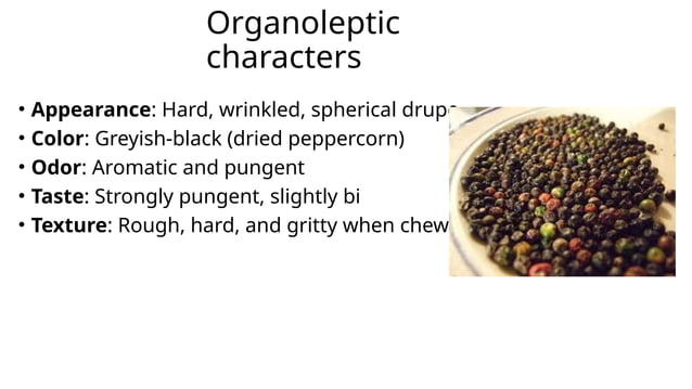 Maricha ppt on the organoleptic and macroscopic | PPTX