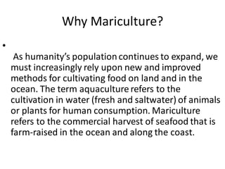 Mariculture Presentation (C. Johnson) Part 1 | PDF