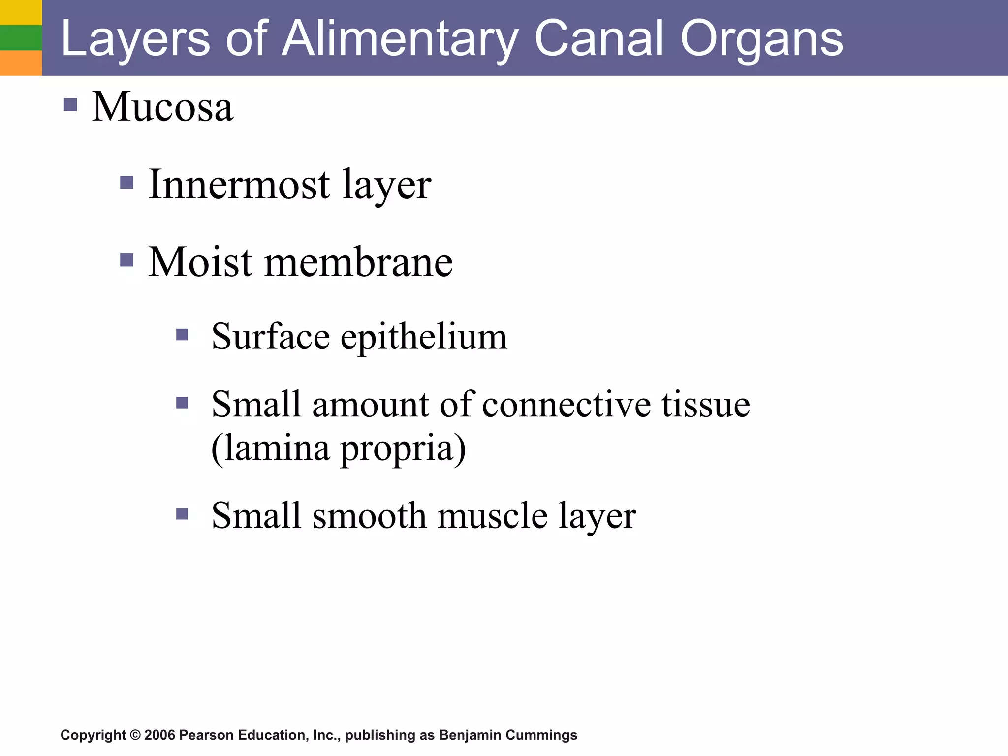 The Digestive System Pt. 1 | PPT