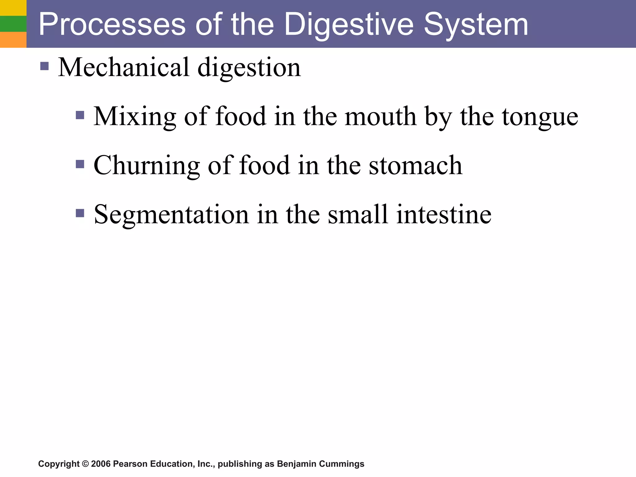 The Digestive System Pt. 3 | PPT