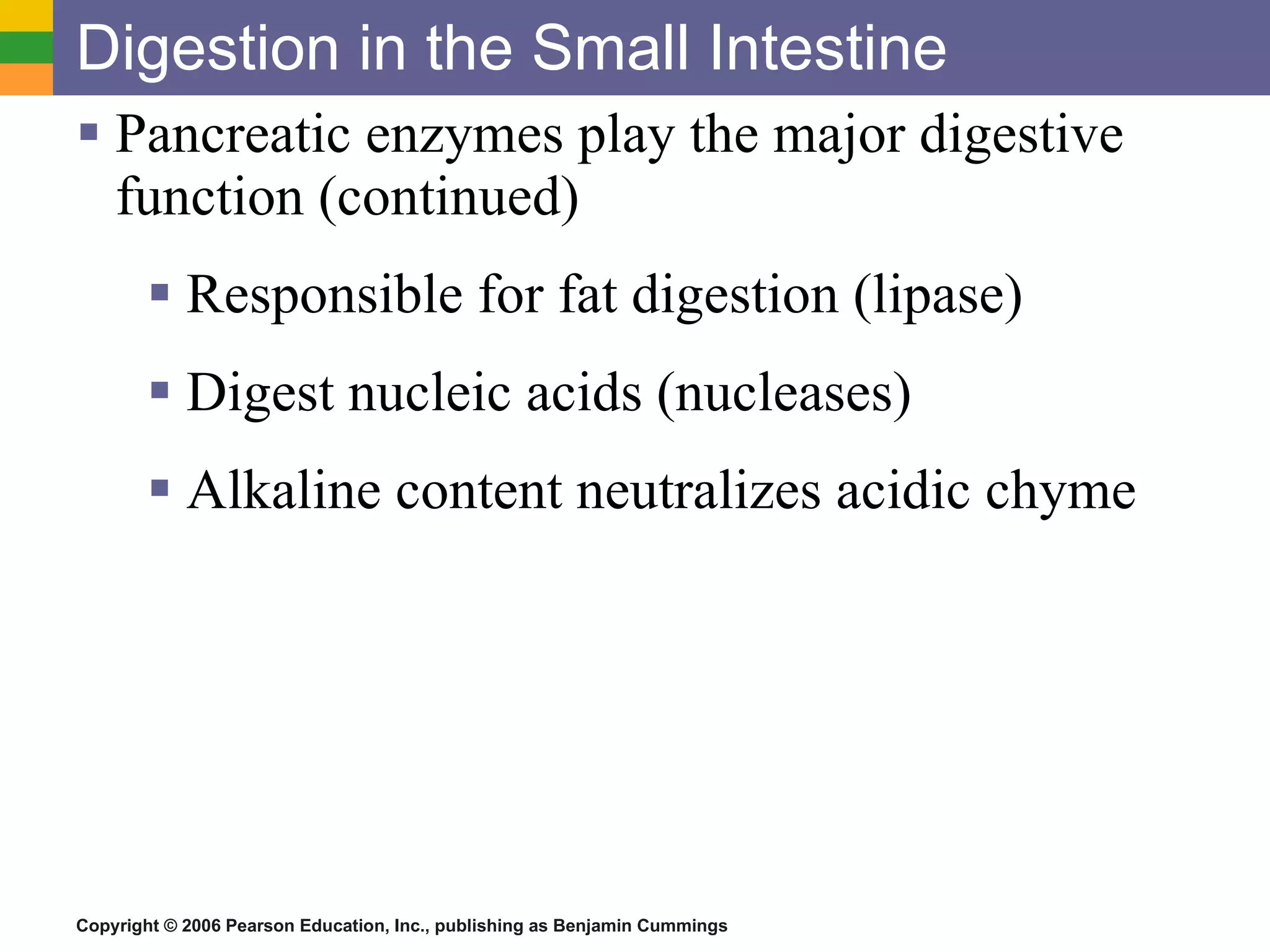 The Digestive System Pt. 3 | PPT