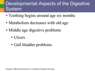 The Digestive System Pt. 4 | PPT