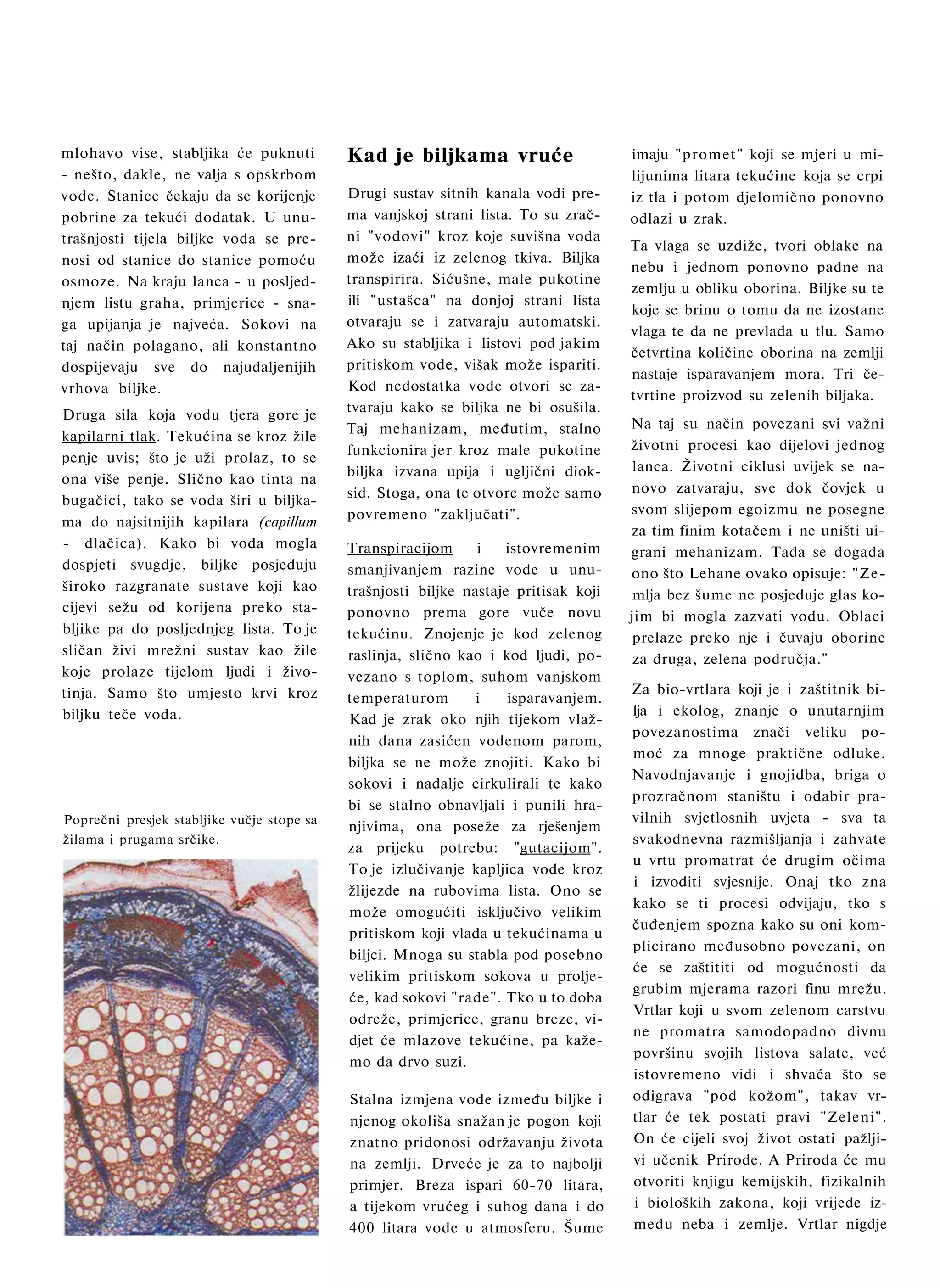 Marie luise kreuter bio vrt | PDF