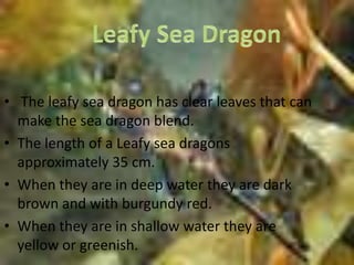 Blair R8 | PPTX | Geography | Science