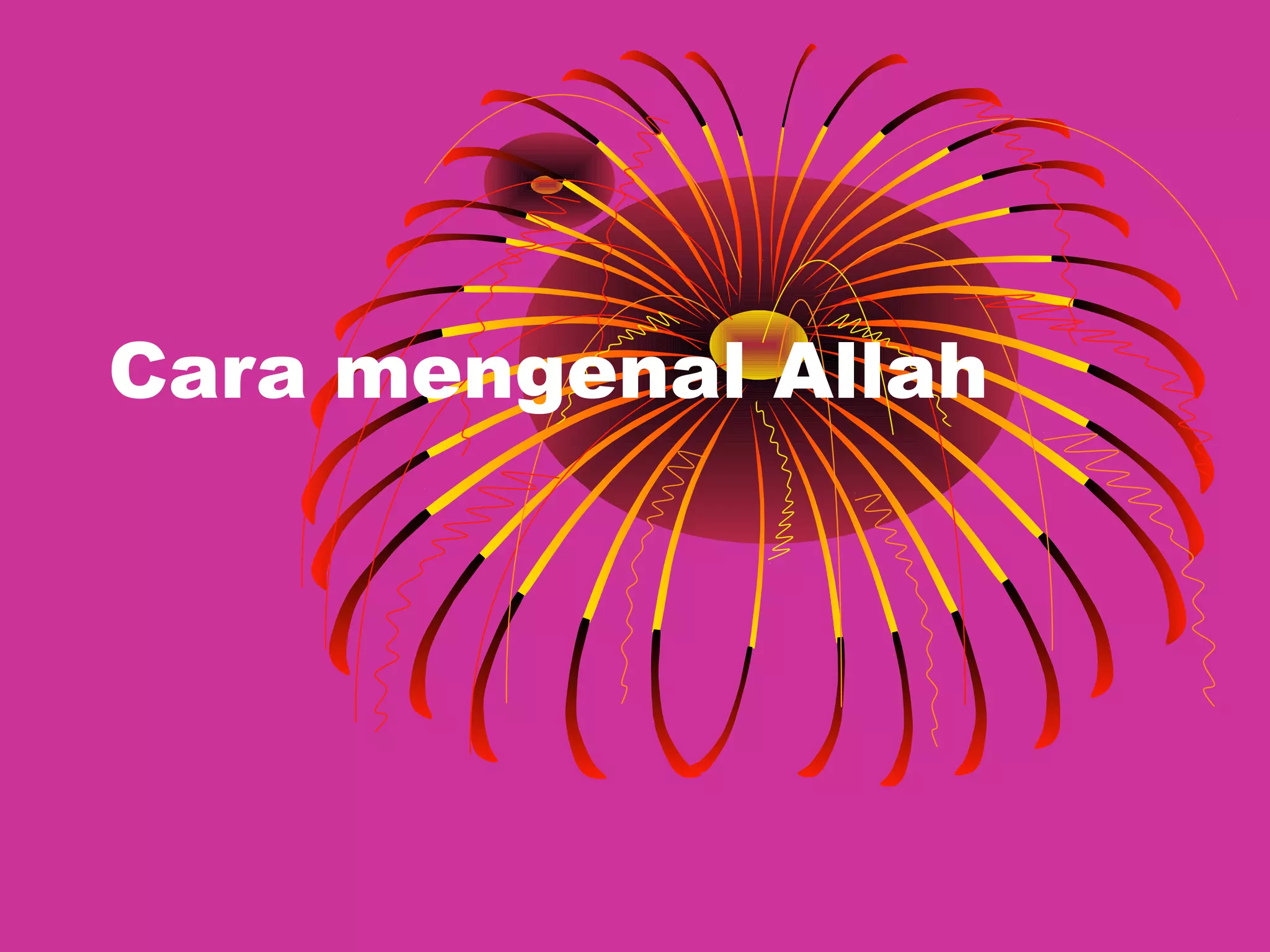 Ma'rifah & taklid | PPT