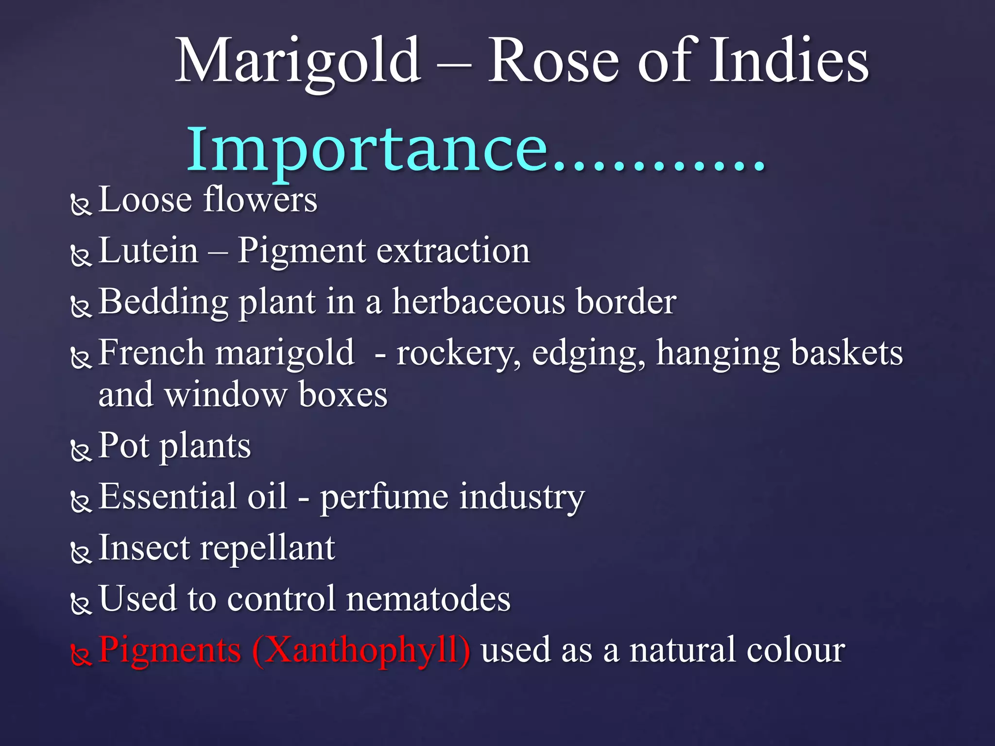 Marigold.pptx