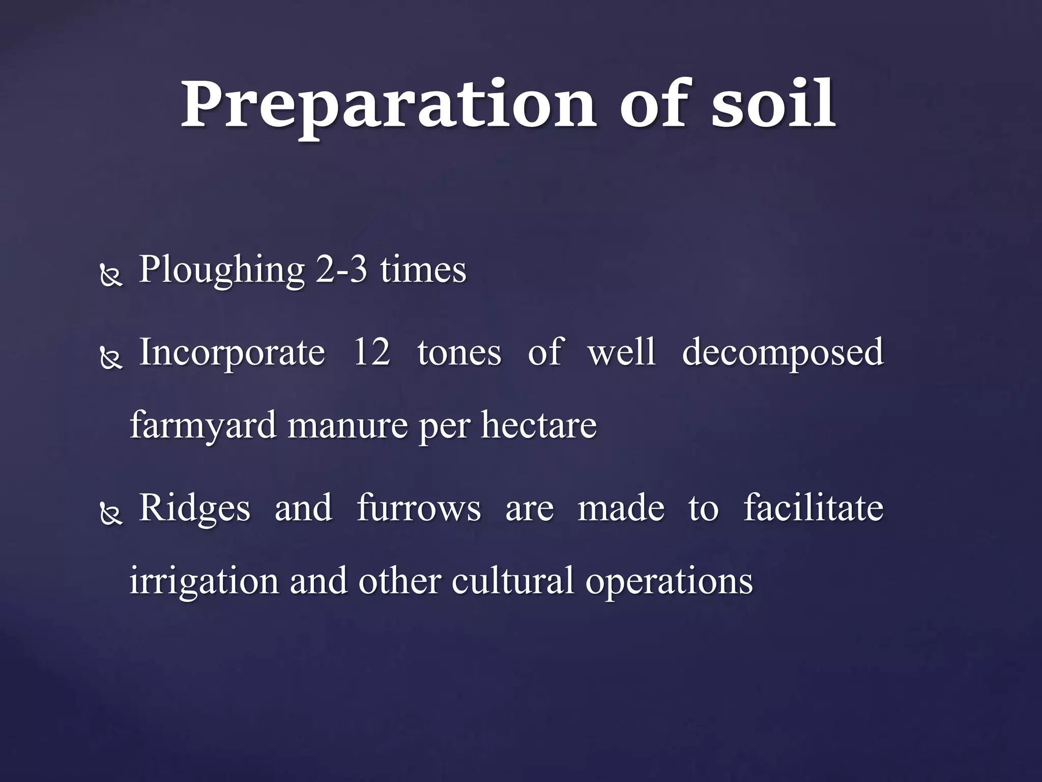Marigold – cultivation aspects and pigment extraction | PPTX