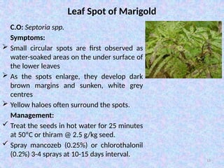 Management of Marigold Diseases it objectives, its status and ...