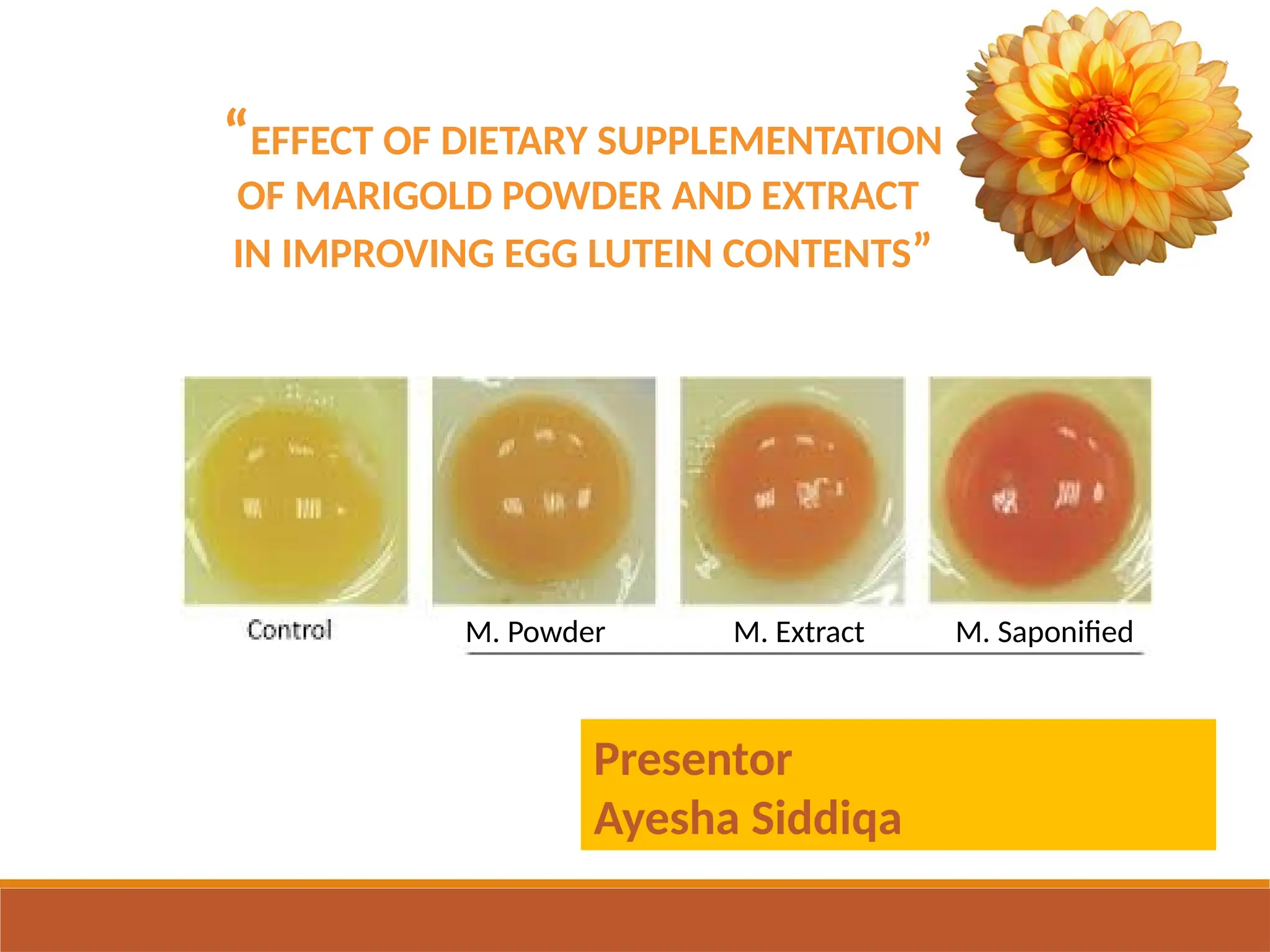 MARIGOLD LUTEIN RESEARCH based study.pptx