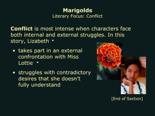 Marigolds | PPT