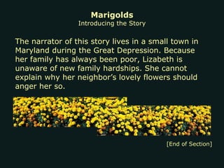 Marigolds By Eugenia Collier Summary
