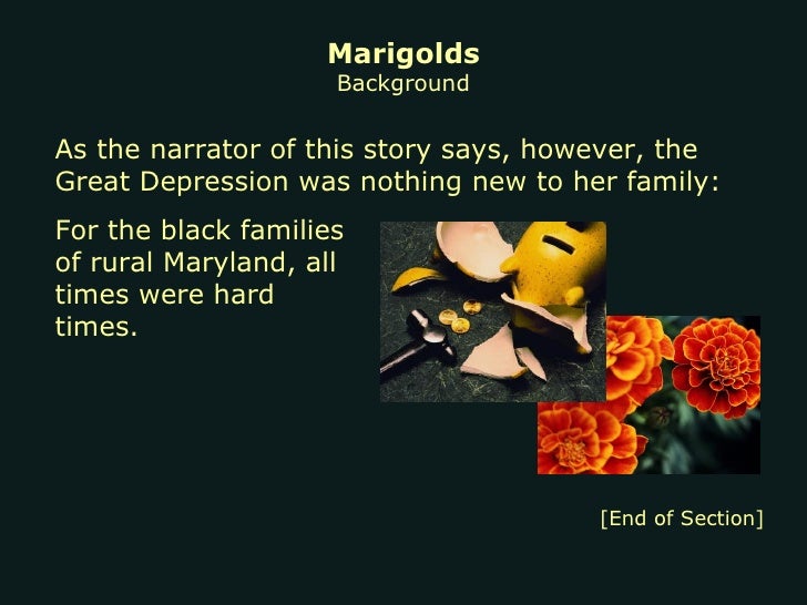 Marigolds Short Story Questions 9th Grade English Marigolds marigolds-short-story-questions-9th-grade-english-marigolds