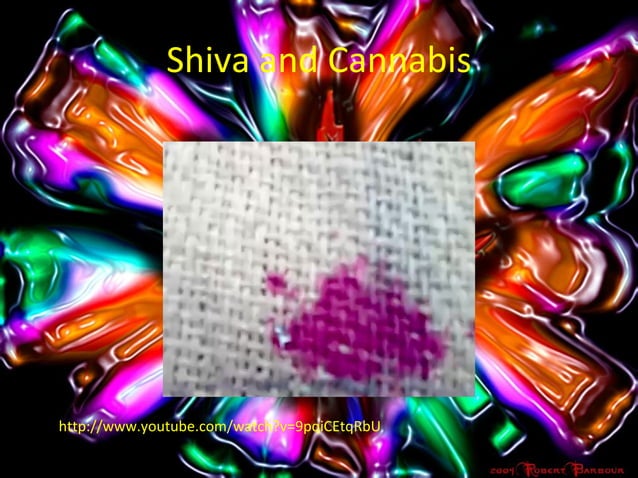 Marijuana in Rastafarian and Shiva Culture | PPT
