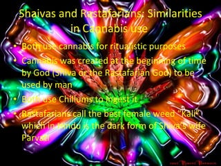 Marijuana in Rastafarian and Shiva Culture | PPT | Free Download