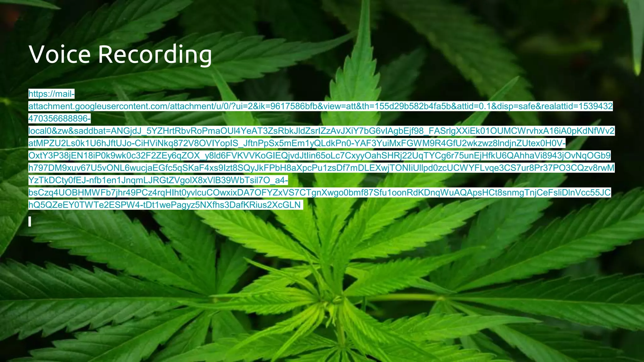 Marijuana | PPT