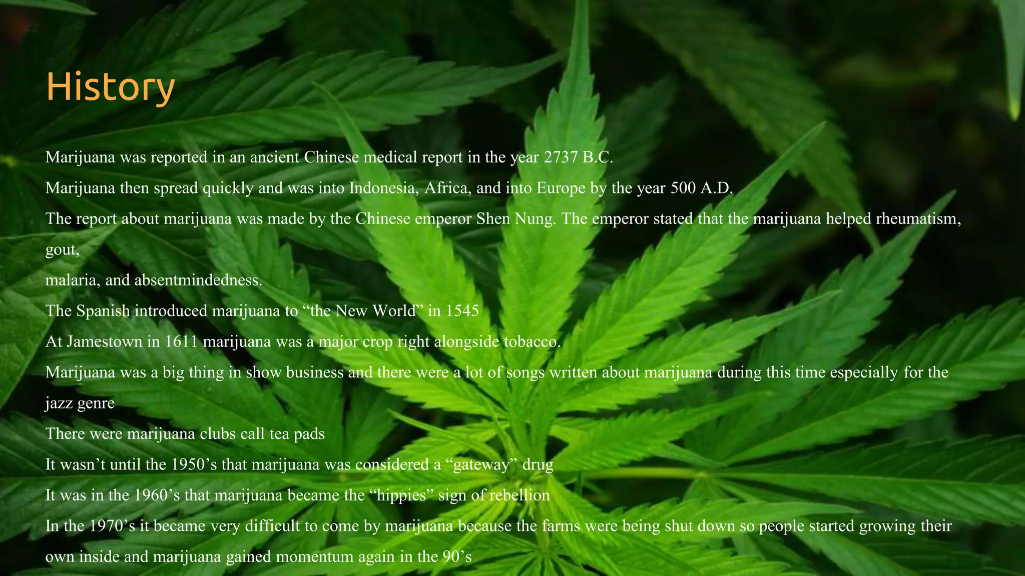Marijuana | PPT