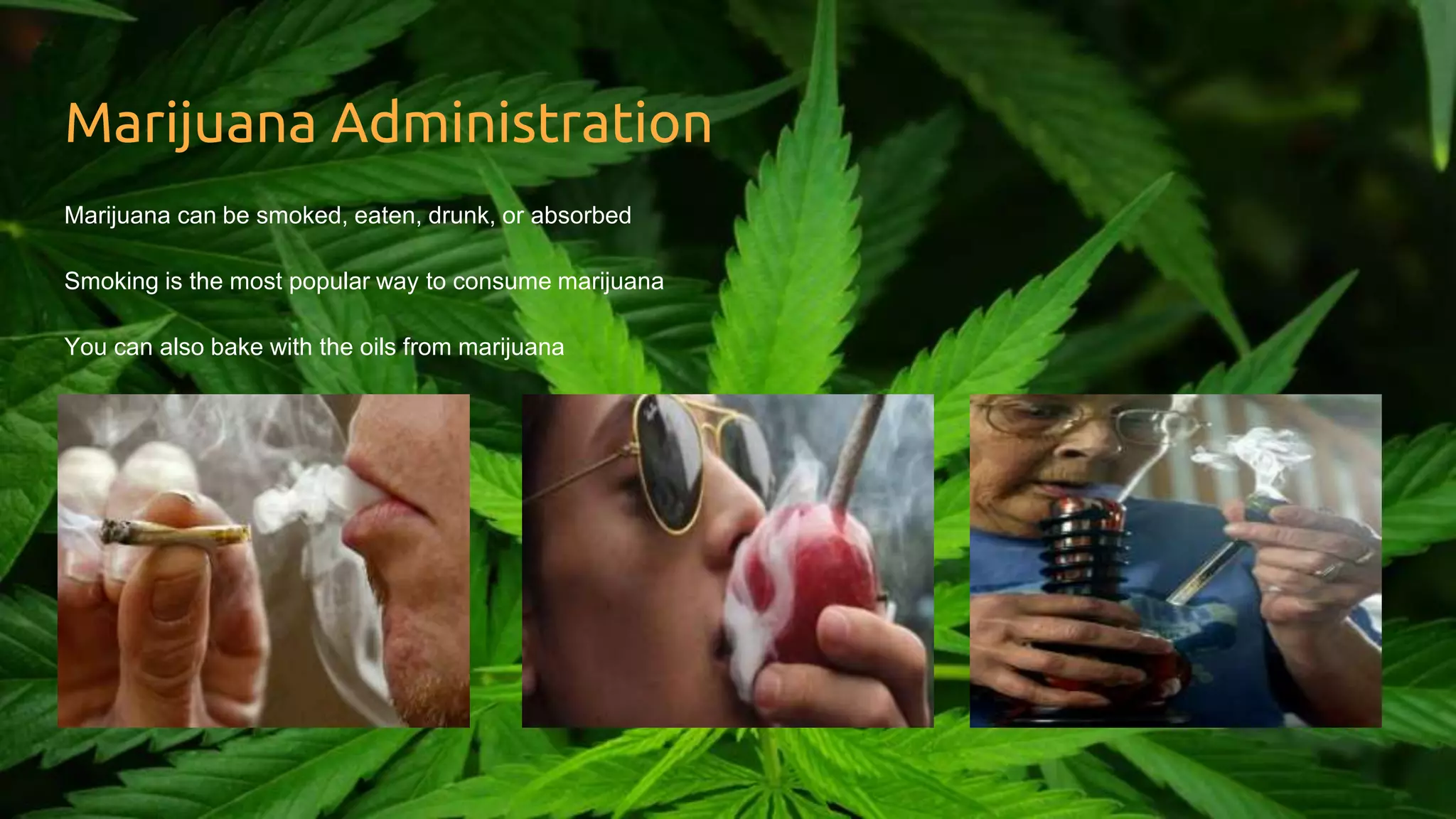 Marijuana | PPT