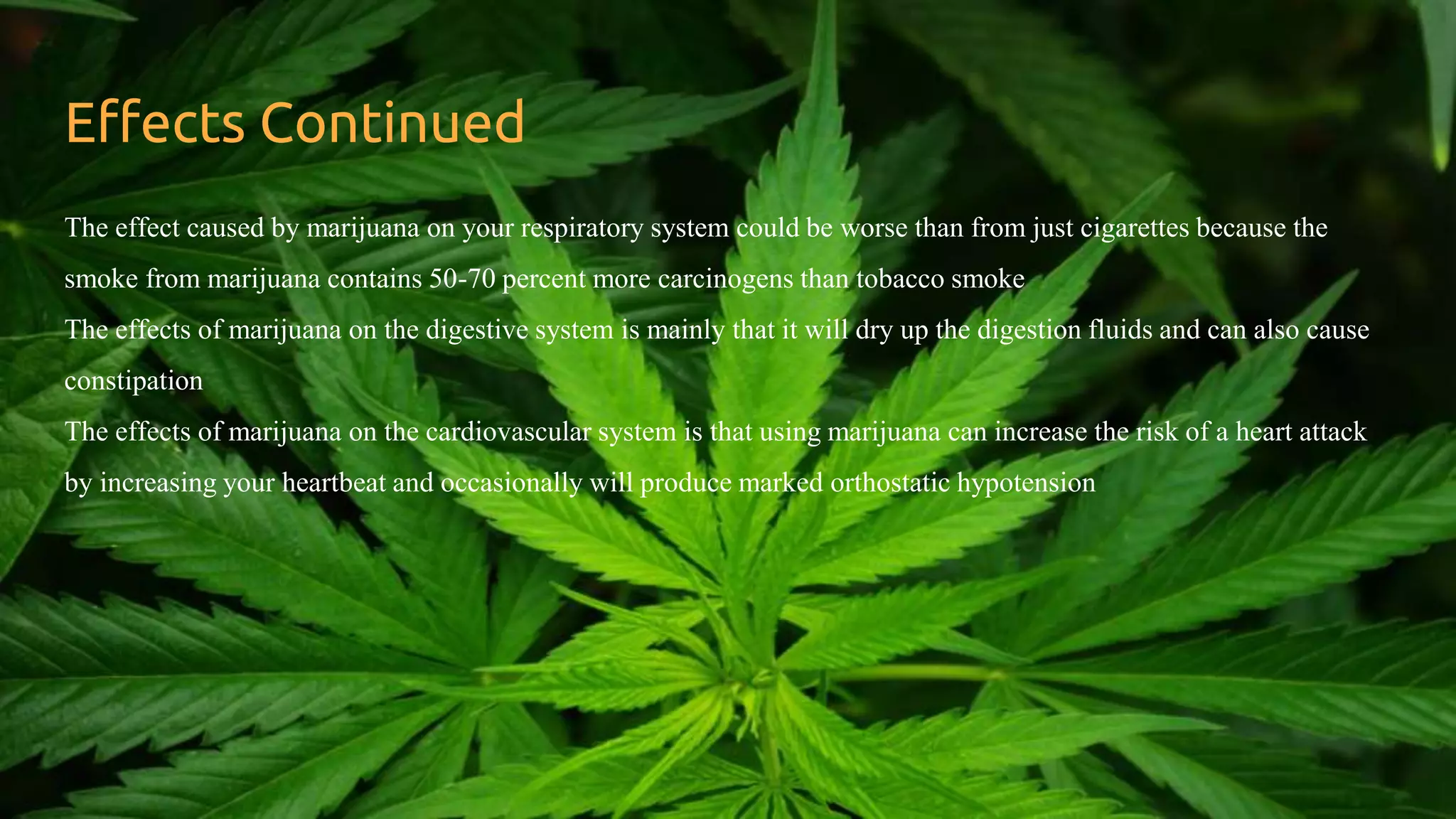 Marijuana | PPT