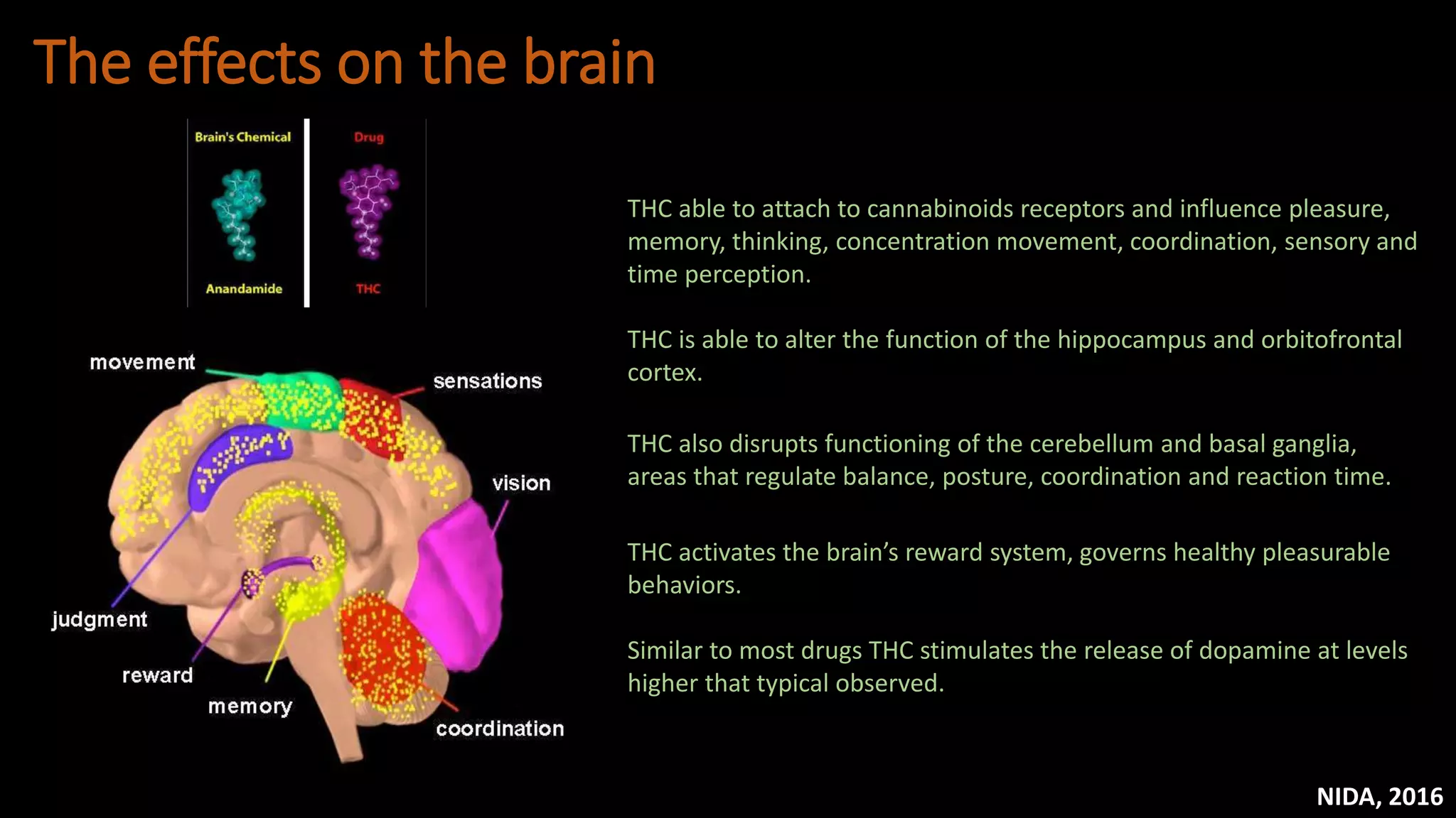 Marijuana Pros and Cons - Public Health Consulting | PPTX