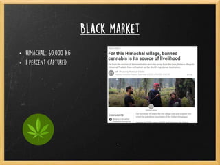 Marijuana ban | PPT