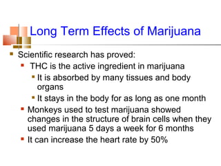 Marijuana effects Myths and Realities - Hemprove | PPT