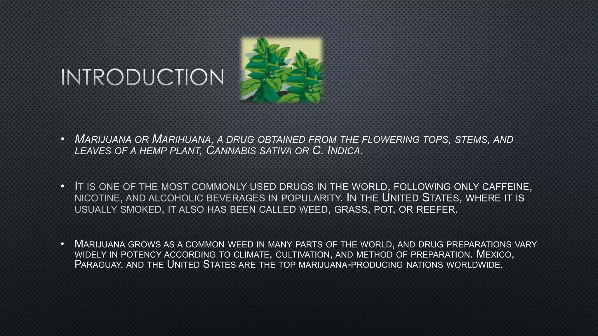 Marijuana Legalization Presentation | PPTX