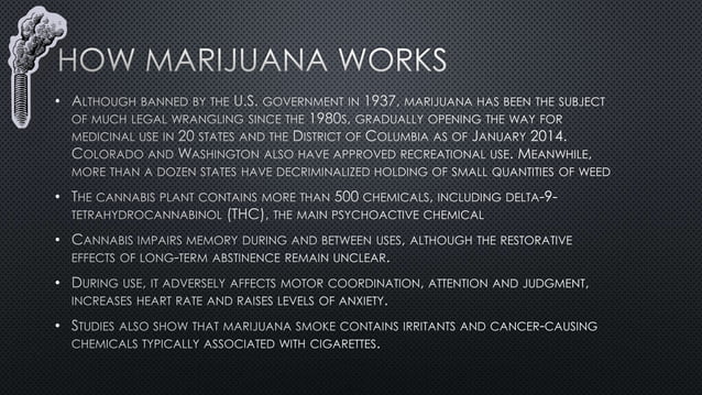 Marijuana Legalization Presentation | PPTX