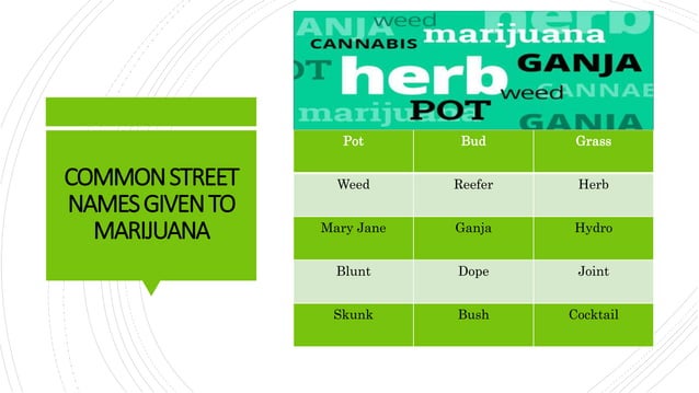 MARIJUANA PPT.pptx