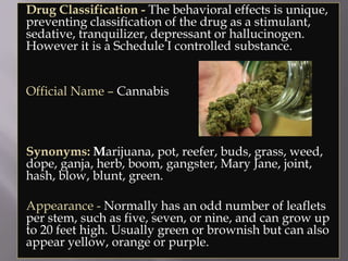Marijuana Presentation | PPT