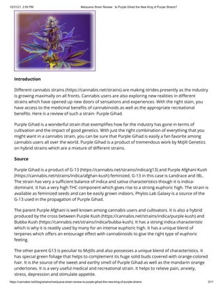 The Purple Gihad Cannabis Strain Review | PDF